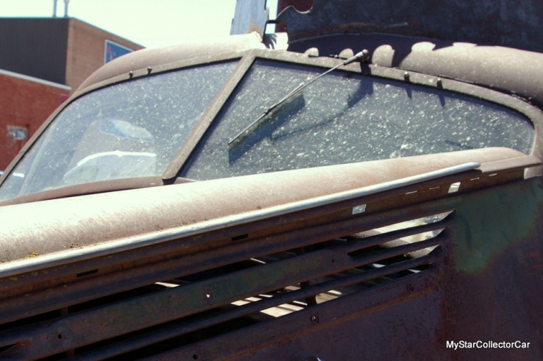 BUG SPLATS ARE A BADGE OF HONOR | MyStarCollectorCar