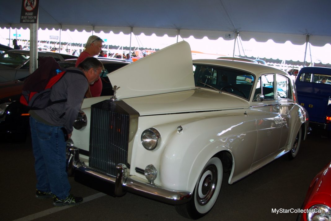 MSCC FEBRUARY 19 FIVE FOR FRIDAY: FIVE REASONS WHY IVORY IS A BETTER ...