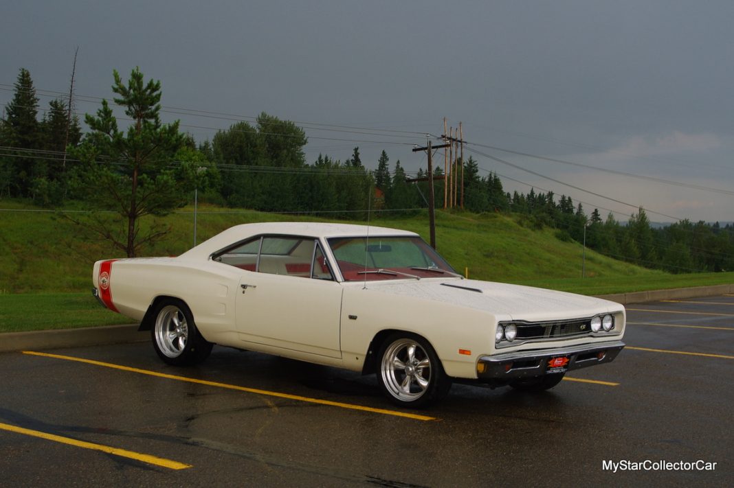 MSCC FEBRUARY 19 FIVE FOR FRIDAY: FIVE REASONS WHY IVORY IS A BETTER ...