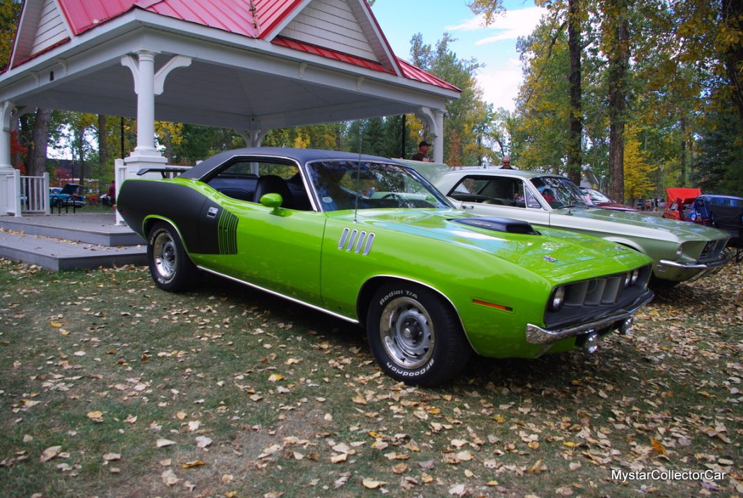 the-high-river-car-show-was-a-winner-in-every-sense-of-the-term