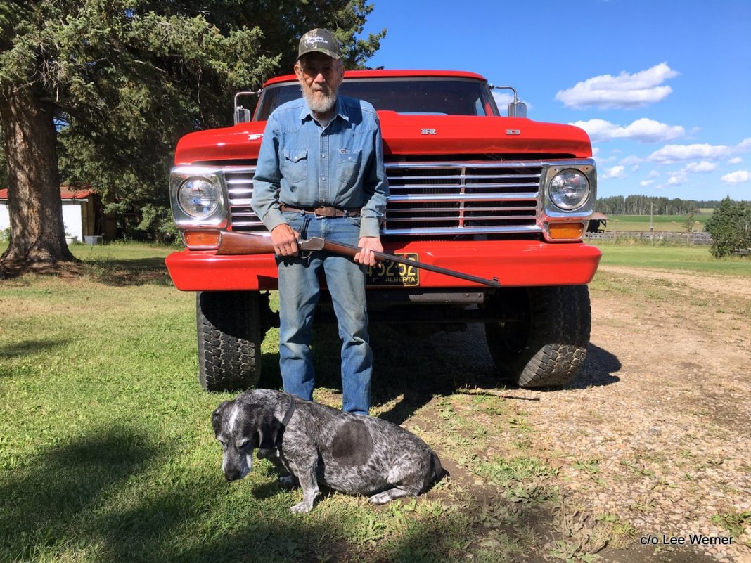 MARCH 2022: THIS STYLISH 1969 FORD F250 HIGHBOY HAS AN AMAZING FAMILY ...