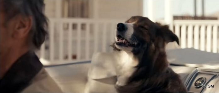 MERRY CHRISTMAS… A SENTIMENTAL CAR AD SHOWS WHY THIS DAY IS A FAMILY ...