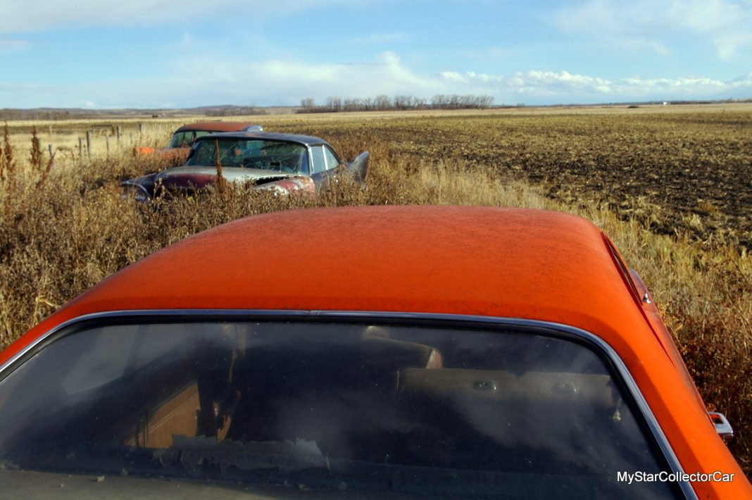 THE CASE FOR THINNING THE HERD—WHY YOU NEED TO EVALUATE YOUR CAR CROP ...