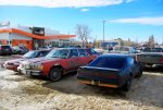 A MID-JANUARY OUTDOOR CAR SHOW IN EDMONTON ALBERTA CANADA?? THAT WOULD ...