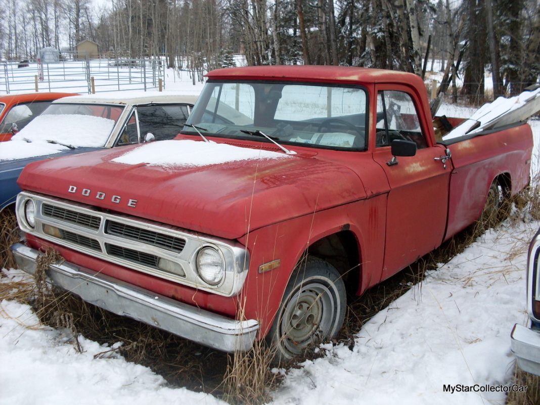 THE CASE FOR THINNING THE HERD—WHY YOU NEED TO EVALUATE YOUR CAR CROP ...