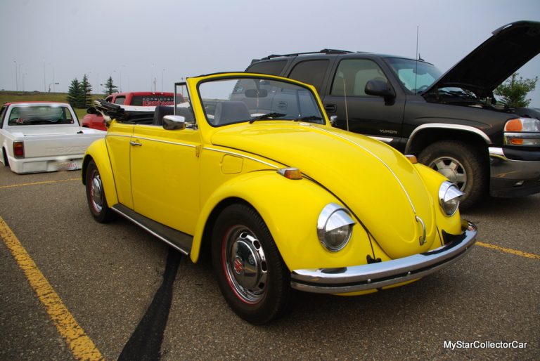 MYSTAR JULY 21 FIVE FOR FRIDAY: FIVE GOOD REASONS TO HUG A BUG ...