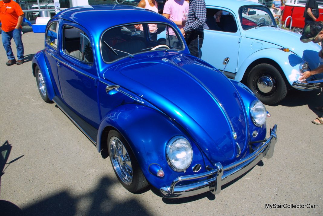 MYSTAR JULY 21 FIVE FOR FRIDAY: FIVE GOOD REASONS TO HUG A BUG ...