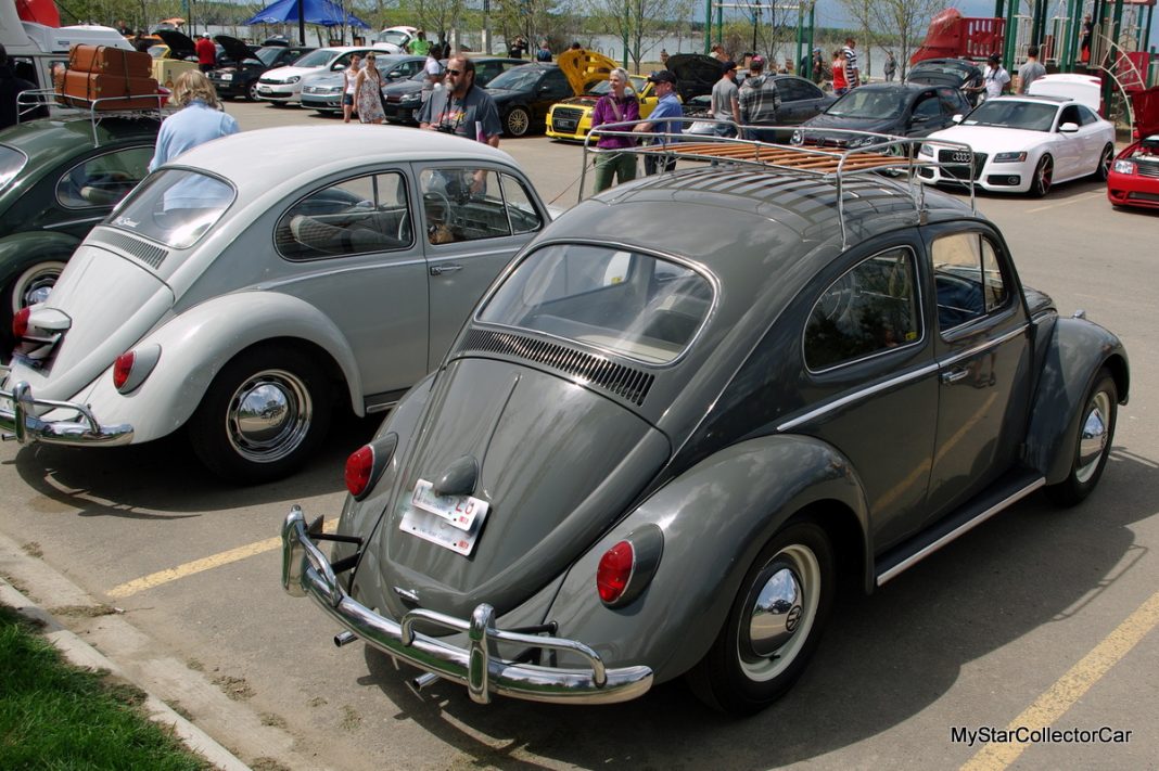 MYSTAR JULY 21 FIVE FOR FRIDAY: FIVE GOOD REASONS TO HUG A BUG ...