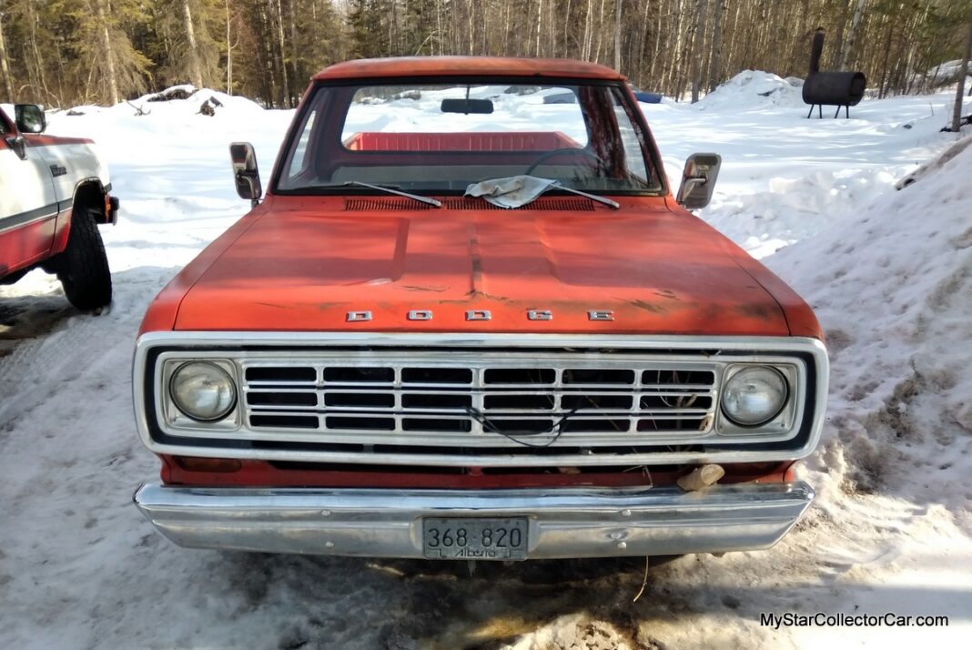 THE ADVENTURES OF DAN THE DODGE… A SURVIVOR 1975 DODGE D-100 GETS A NEW LIFE | MyStarCollectorCar
