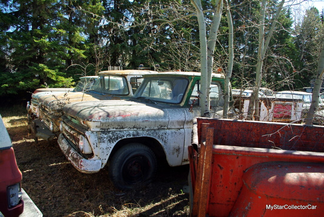 ARE YOU A CAR GUY OR A HOARDER WITH AN OLD CAR HABIT? ASK DR ...