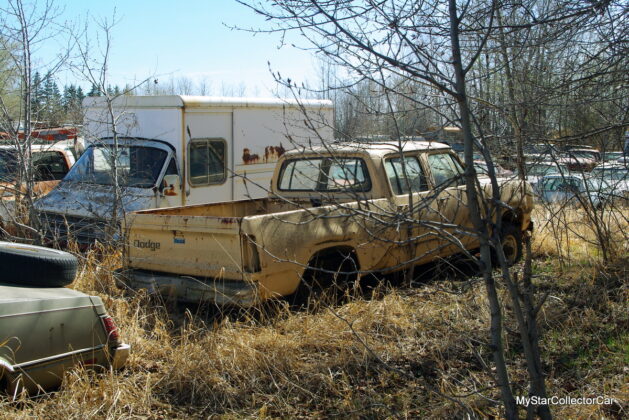 ARE YOU A CAR GUY OR A HOARDER WITH AN OLD CAR HABIT? ASK DR ...