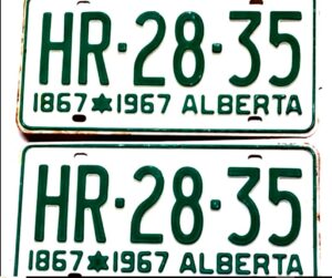 HOW CAR GUYS SEE THE WORLD | MyStarCollectorCar