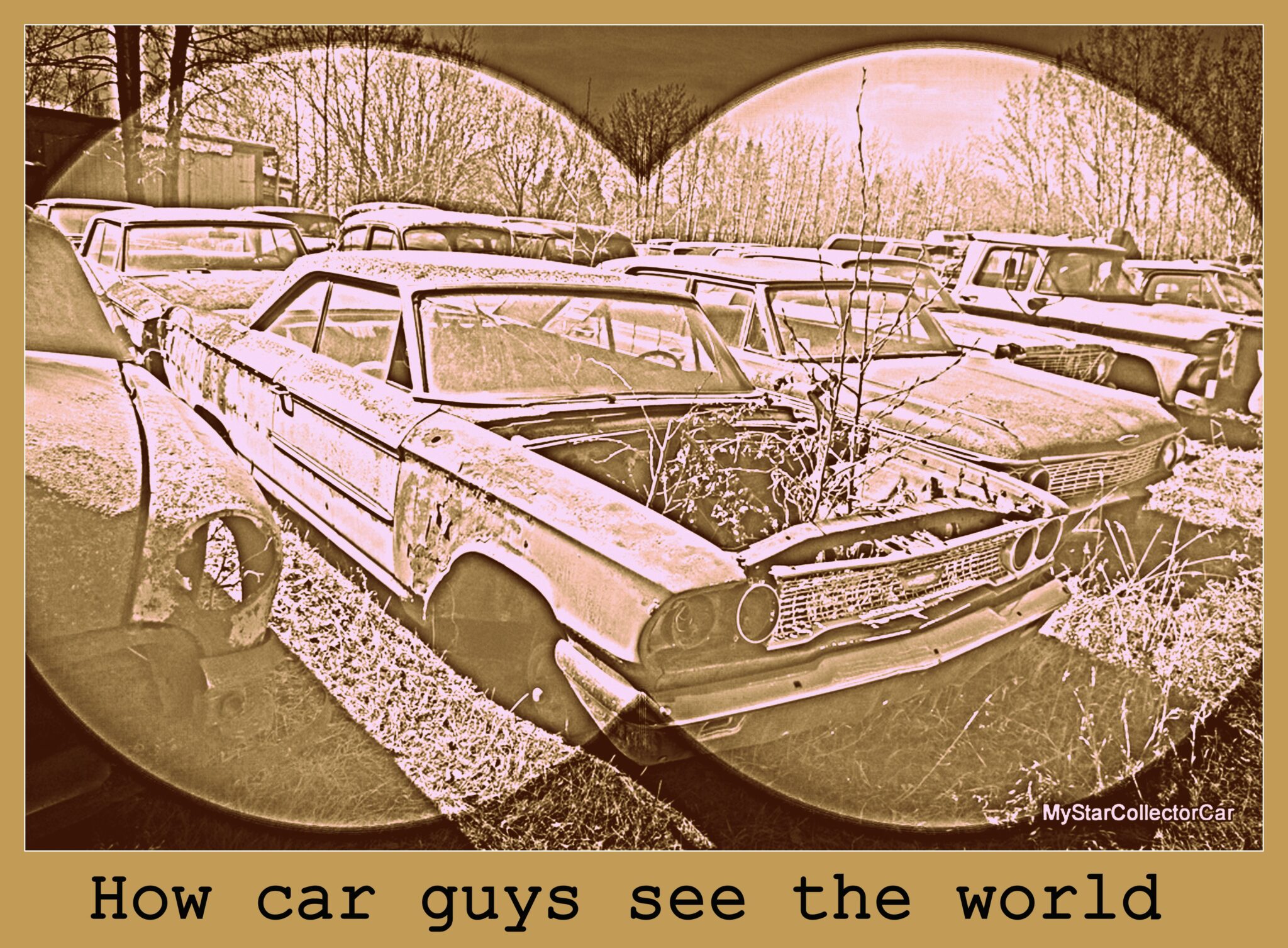 HOW CAR GUYS SEE THE WORLD | MyStarCollectorCar