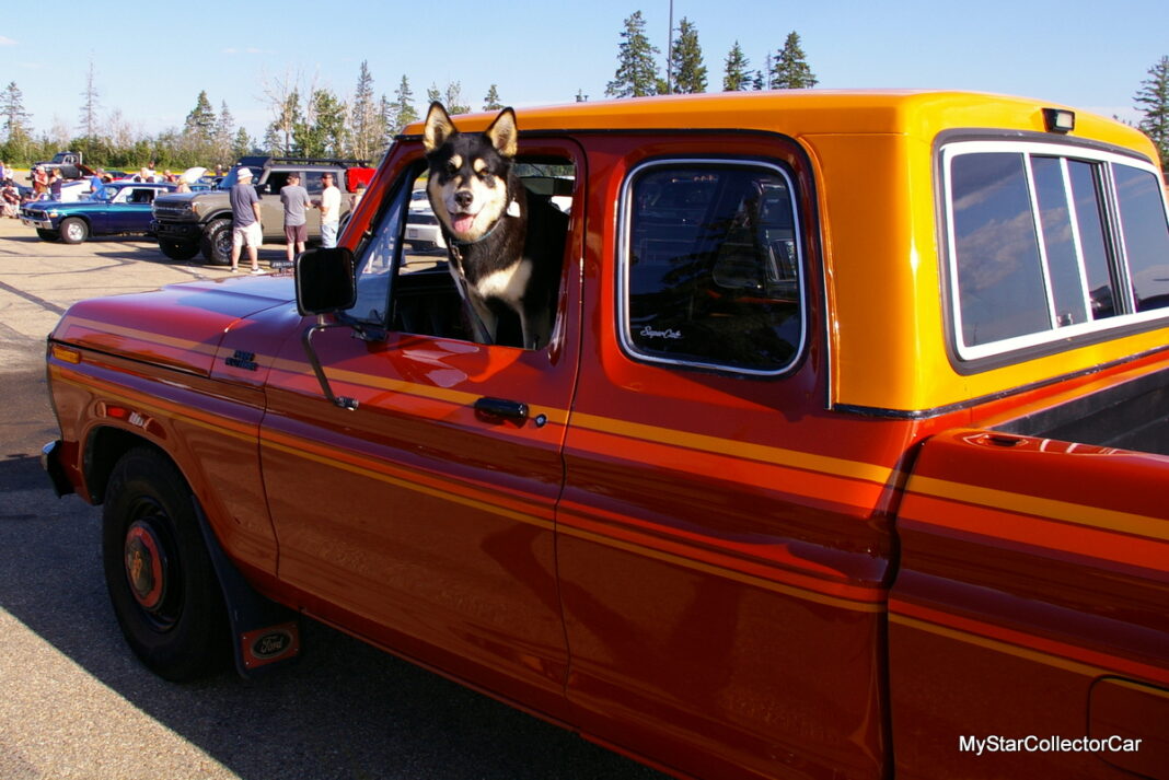 FEBRUARY 2026: JOE COOL’S 1978 FORD F-250 SUPER CAB PICKUP HE NAMED THE ...